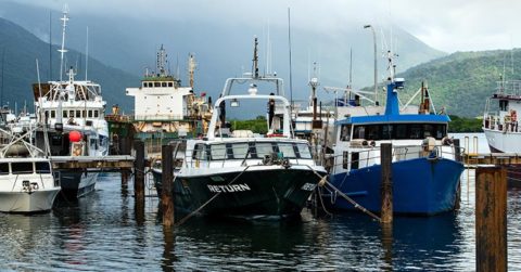 Distintos tipos de barco: ¿cuál elegir? - Band of Boats