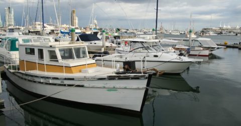 What is the Average Cost of a Pleasure Boat? Pricing by Type